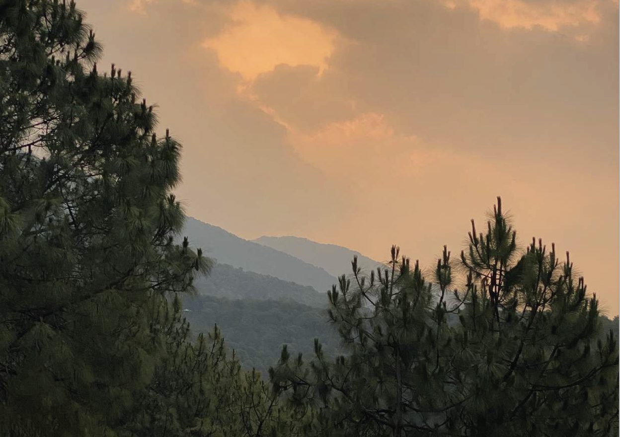 Bringing people together is what I call 'Ubuntu' - Society of St ...