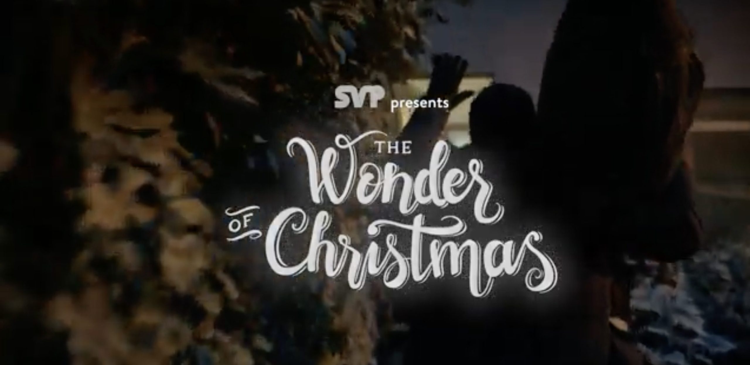 The Society of St. Vincent de Paul Ireland | SVP